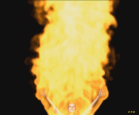 Warhok GIFs - Get the best gif on GIFER