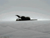 Ahahahaha GIFs - Get the best gif on GIFER