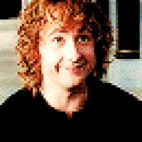 Platter GIFs - Get the best gif on GIFER