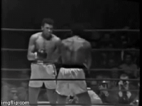 Ali GIFs - Get the best gif on GIFER