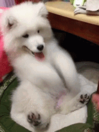 Insulin GIFs - Get the best gif on GIFER