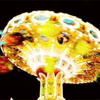 Carnival GIFs - Get the best gif on GIFER
