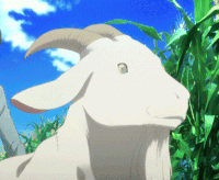 Topping GIFs - Get the best gif on GIFER