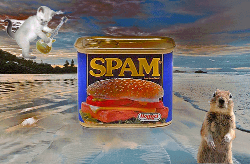 Spam GIFs - Get the best gif on GIFER