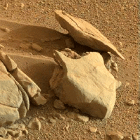 Curiosity GIFs - Get the best gif on GIFER