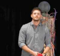 Declare GIFs - Get the best gif on GIFER