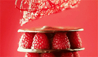 Raspberries GIFs - Get the best gif on GIFER