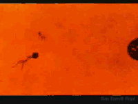 Blip GIFs - Get the best gif on GIFER