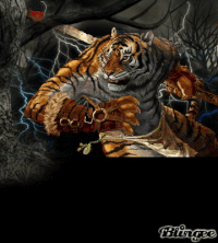 Warriors GIFs - Get the best gif on GIFER