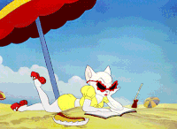 Summertime GIFs - Get the best gif on GIFER