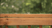 Drizzle GIFs - Get the best gif on GIFER