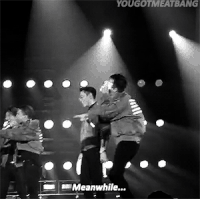 Tmp GIFs - Get the best gif on GIFER