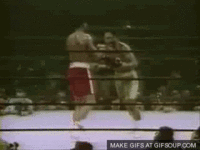 Mixed GIFs - Get the best gif on GIFER