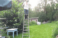 Ladder GIFs - Get the best gif on GIFER
