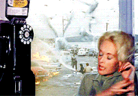 Tippi the bird GIFs - Get the best gif on GIFER
