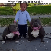 Imitating GIFs - Get the best gif on GIFER