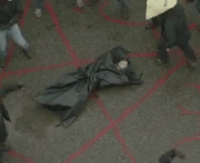 Harlem GIFs - Get the best gif on GIFER