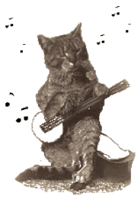 Banjo GIFs - Get the best gif on GIFER