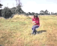 Roda gigante GIF - Conseguir o melhor gif em GIFER