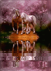 Pferd GIFs - Get the best gif on GIFER