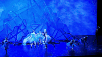 Sweden GIFs - Get the best gif on GIFER