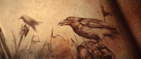 Raven GIFs - Get the best gif on GIFER