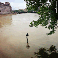 Flood GIFs - Get the best gif on GIFER