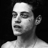 Pureblood GIFs - Get the best gif on GIFER