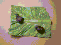 Snail GIFs - Get the best gif on GIFER
