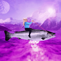 Salmon GIFs - Get the best gif on GIFER