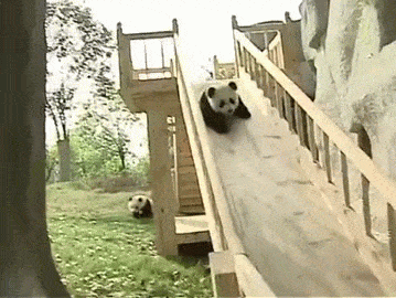 Closurein GIFs - Get the best gif on GIFER