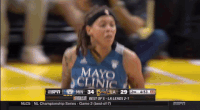 Lynx GIFs - Get the best gif on GIFER