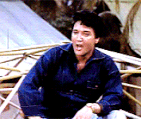 Clambake GIFs - Get the best gif on GIFER