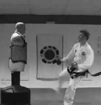 Taekwondo GIFs - Get the best gif on GIFER