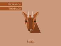 Species GIFs - Get the best gif on GIFER