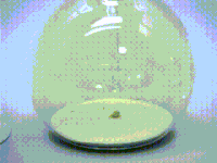 Sodium GIFs - Get the best gif on GIFER