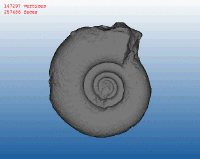 Fossils GIFs - Get the best gif on GIFER
