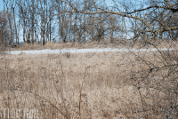 Grassland GIFs - Get the best gif on GIFER