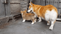 Sit GIFs - Get the best gif on GIFER