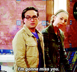 Bidder гифки, анимированные GIF изображения bidder - скачать гиф ...