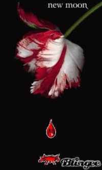 Bleeding GIFs - Get the best gif on GIFER