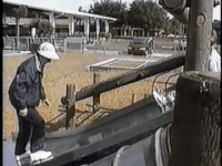 Bonking GIFs - Get the best gif on GIFER