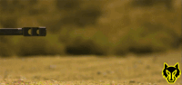 Ammunition GIFs - Get the best gif on GIFER