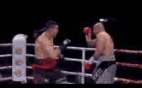 Tko GIFs - Get the best gif on GIFER