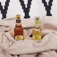 Pronounce GIFs - Get the best gif on GIFER