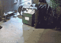 Dumpster GIFs - Get the best gif on GIFER