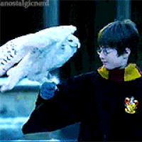 Franklin GIFs - Get the best gif on GIFER