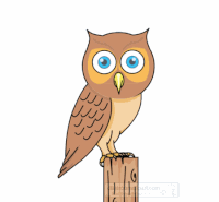 Chouette GIFs - Get the best gif on GIFER