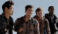 Maze runner GIFs - Get the best gif on GIFER