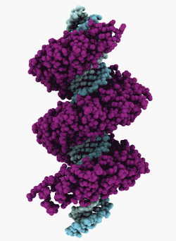 Molecular biology GIFs - Get the best gif on GIFER